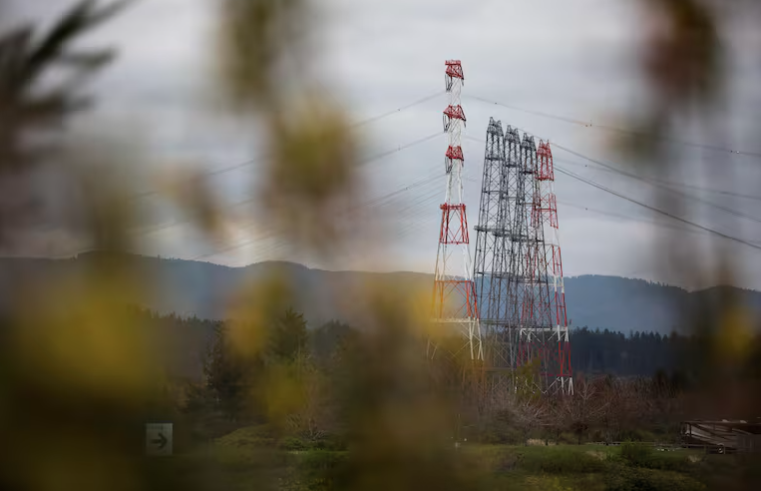 Oregon utility watchdog asks state to intervene on proposed double ...