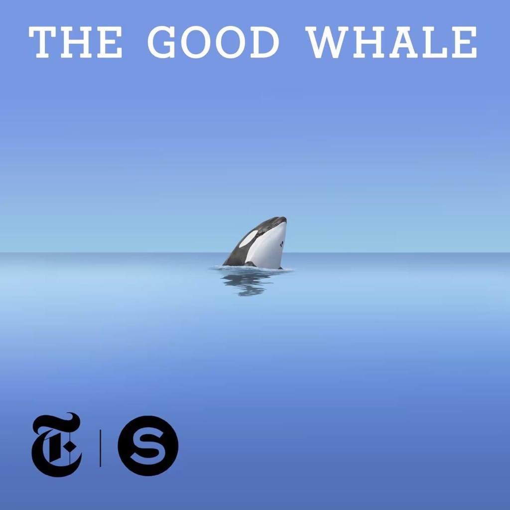 Serial podcast team launch podcast on Keiko, Oregon’s most famous whale ...